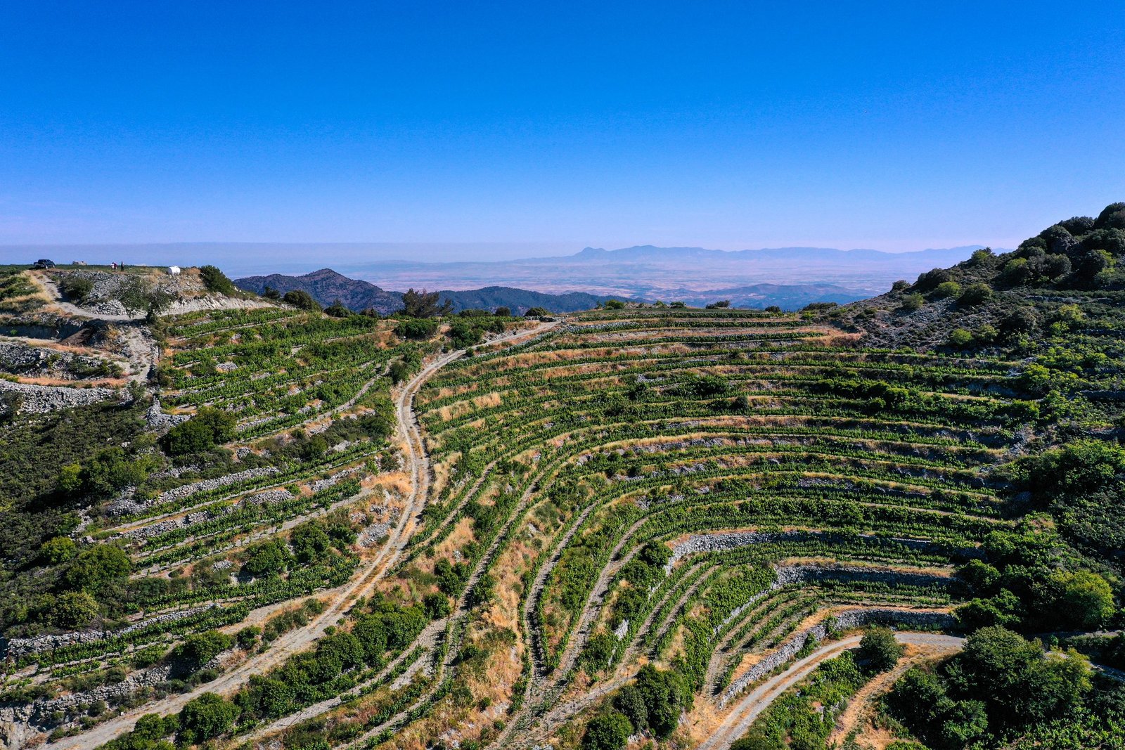 High Vines - Tsiakkas Winery